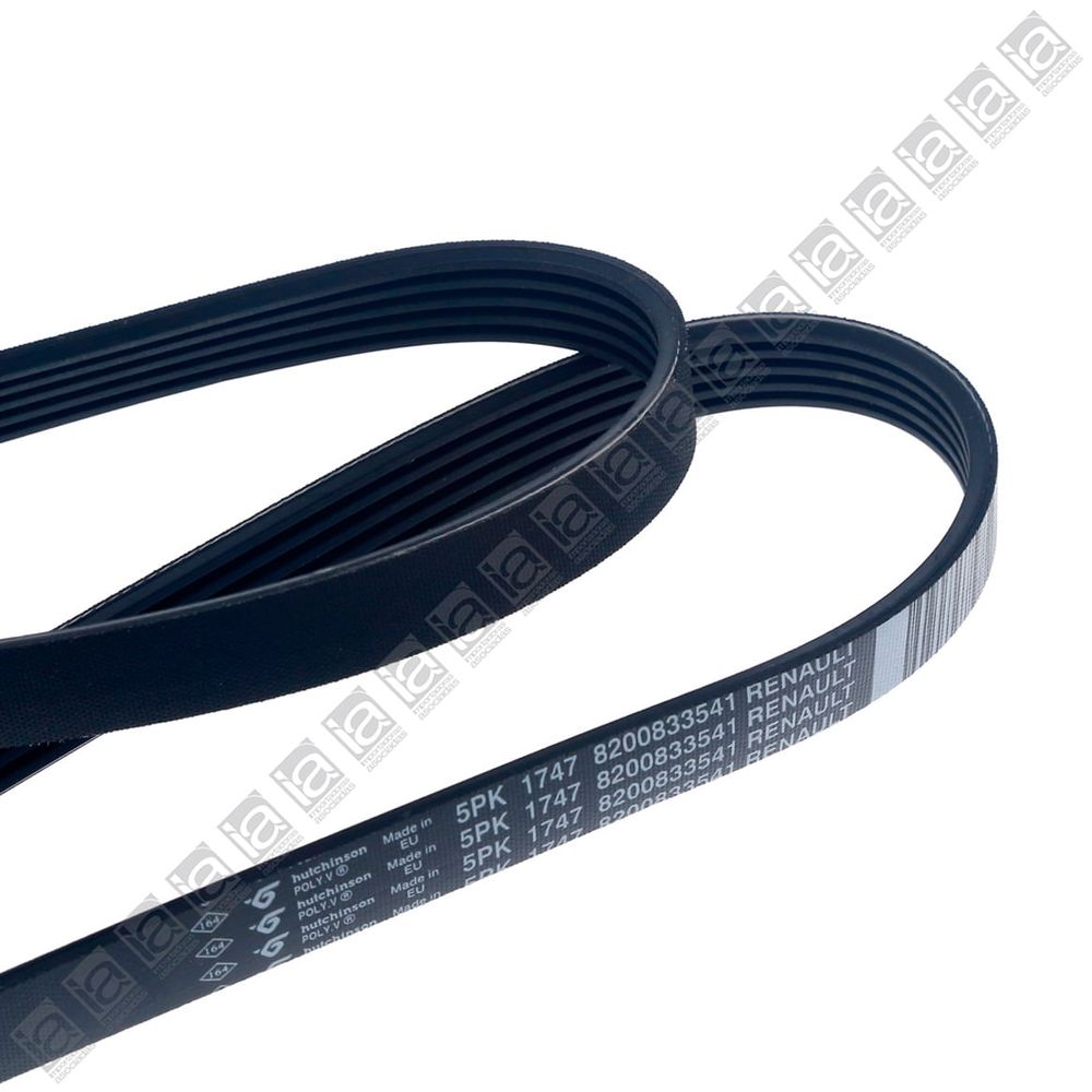 correa de accesorios renault clio 2002/2016, Magane 2002/2009, Symbol ...