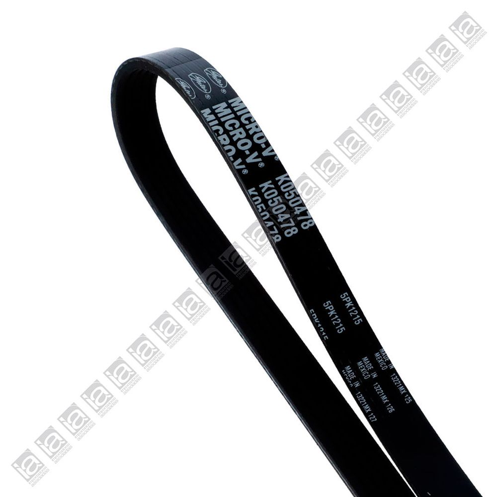 correa alternador ion - iasociadas